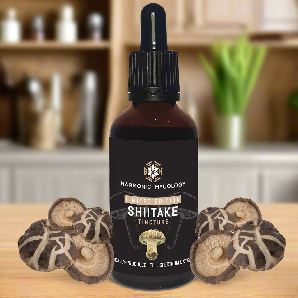 Shiitake mushroom tincture – Harmonic Mycology