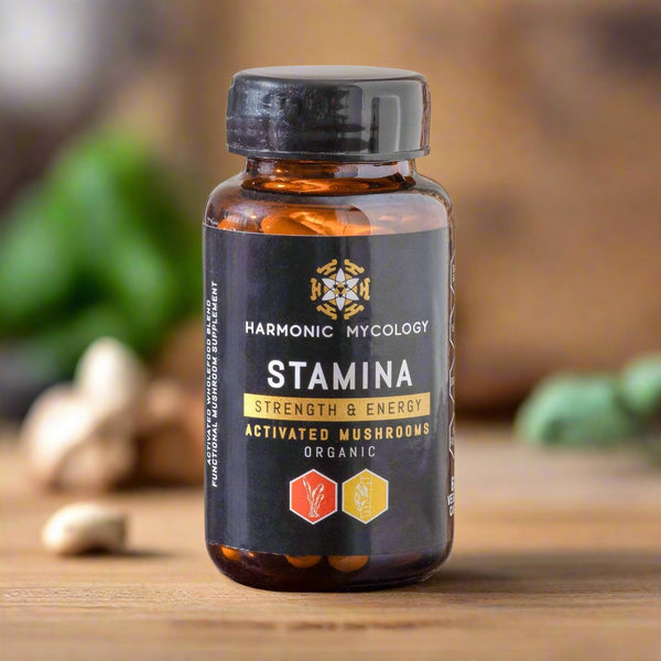 Stamina Capsules – Harmonic Mycology