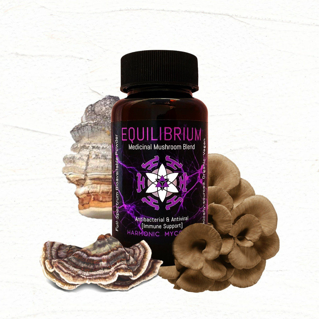 Equilibrium Capsules – Harmonic Mycology