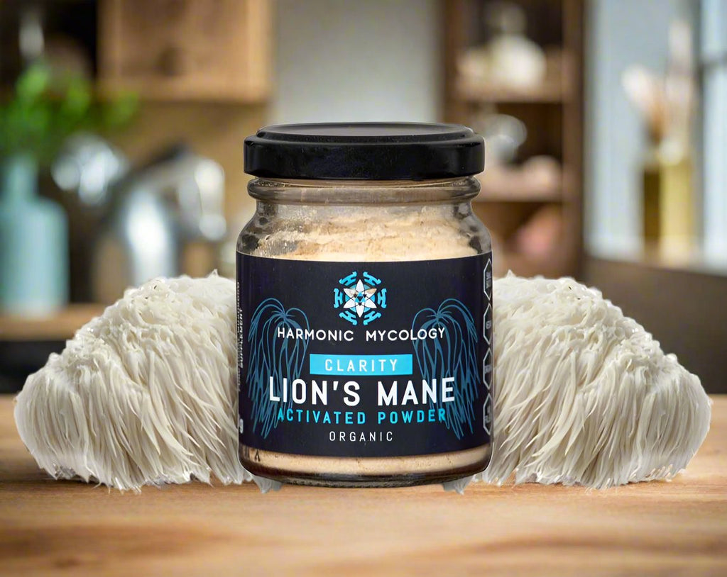 Lion's mane powder 50g – Harmonic Mycology
