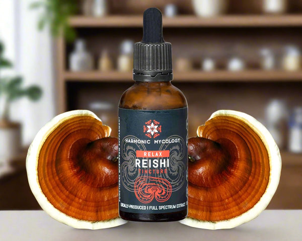 Reishi mushroom tincture 50ml – Harmonic Mycology
