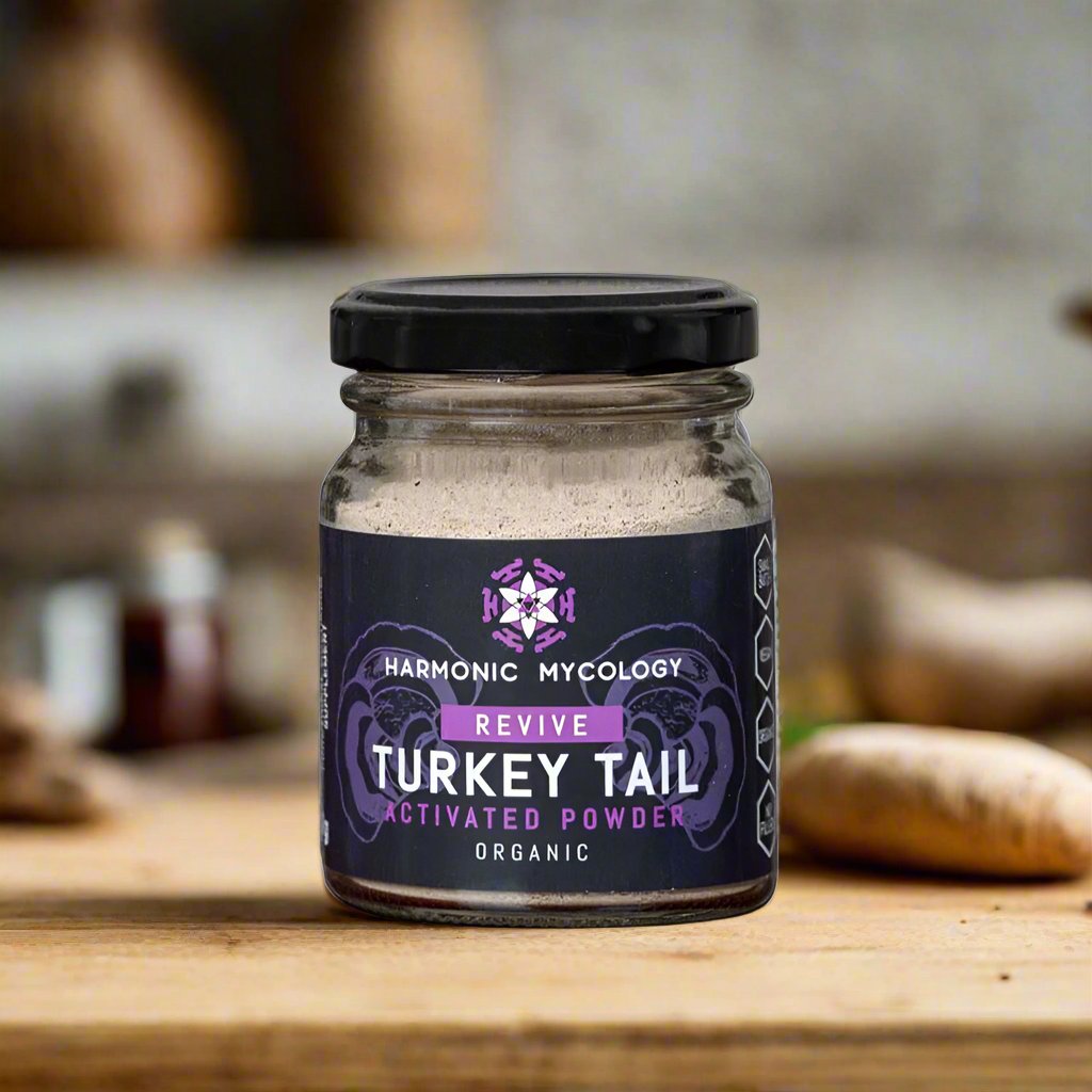 Turkey tail mushroom powder – Harmonic Mycology